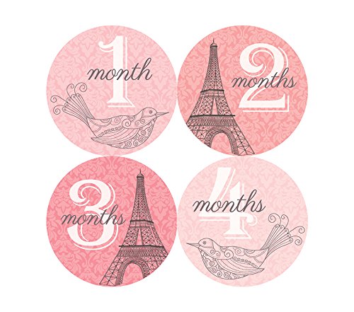 Amazon.com: Paris Pink Month Stickers - Set of 16 - Like Shown : Arts ...