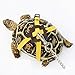 Amazon.com: Ebamaz Leather Harness Strap for Tortoise/Turtle Pet ...