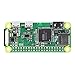 REES52 Raspberry Pi Zero W Development board - Built-in WiFi ...