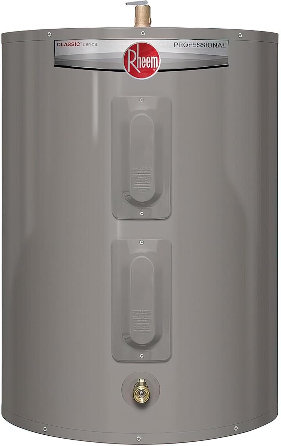 Rheem PROE47 S2 RH95 47-Gallon Professional Classic Residential ...