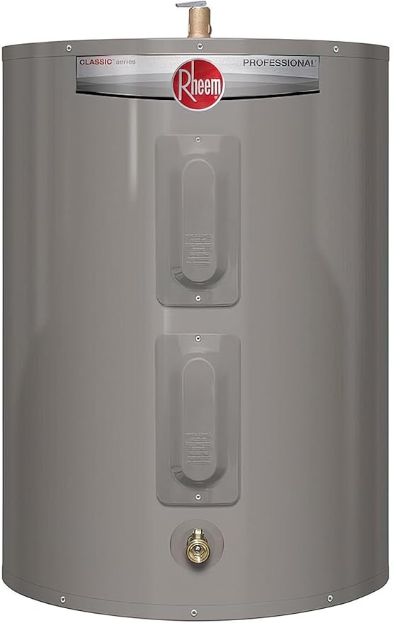 Rheem PROE47 S2 RH95 47-Gallon Professional Classic Residential ...