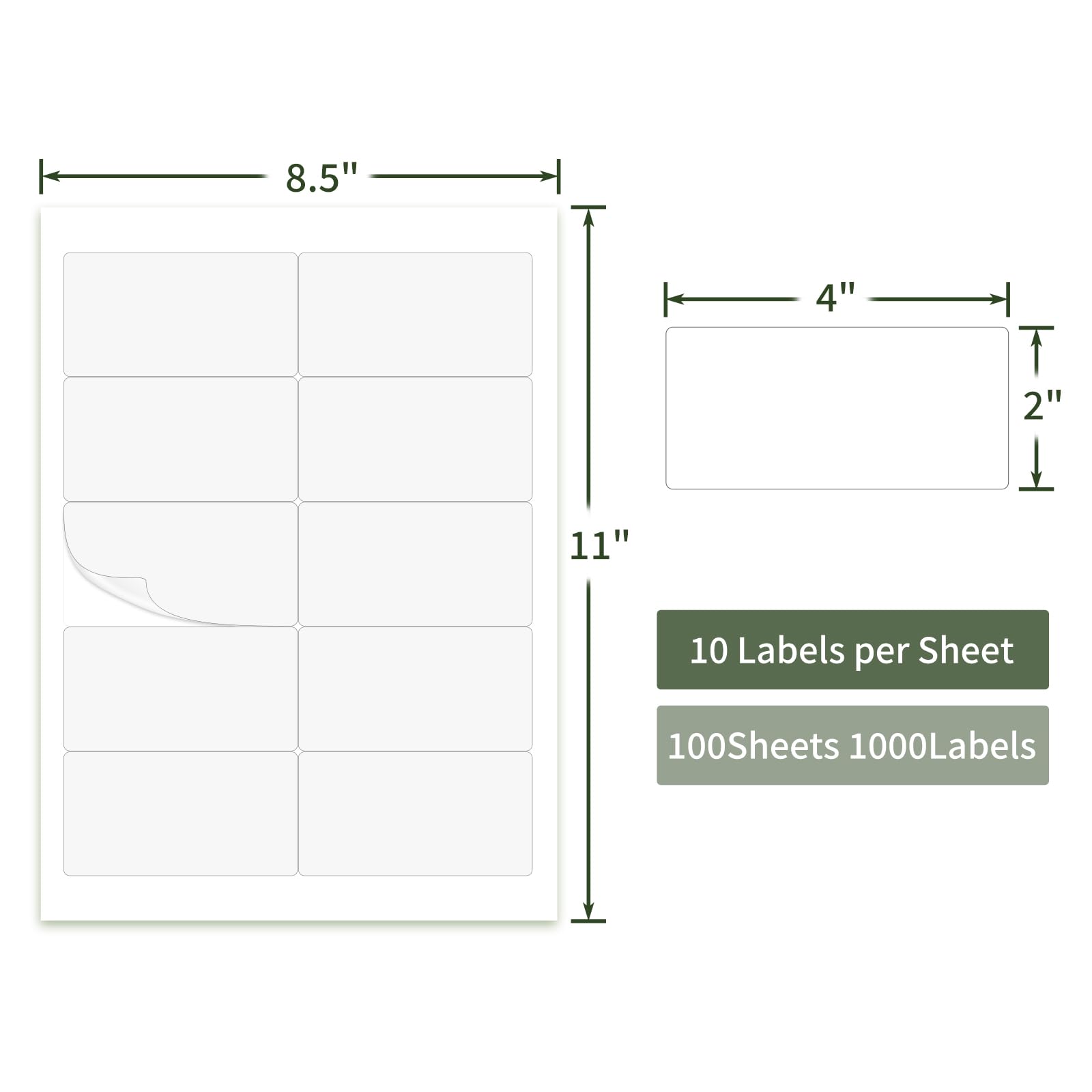 Amazon.com : 18163 Labels 2x4 Printable White Blank Shipping Labels ...
