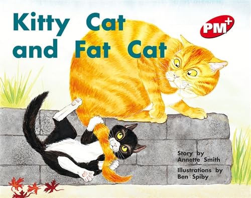 Kitty Cat and Fat Cat : Smith, Annette: Amazon.co.uk: Books