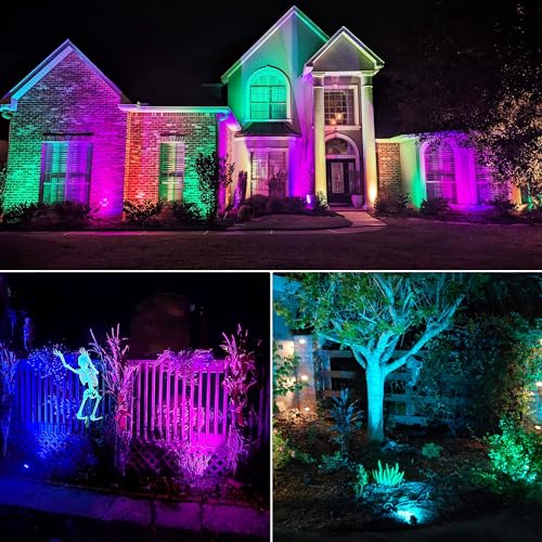 RGBW Color Changing Landscape Lights: 12 Pack with Low Voltage ...