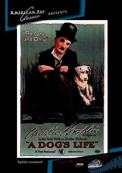 Amazon.com: A Dog's Life : Charlie Chaplin, Edna Purviance, Charlie ...