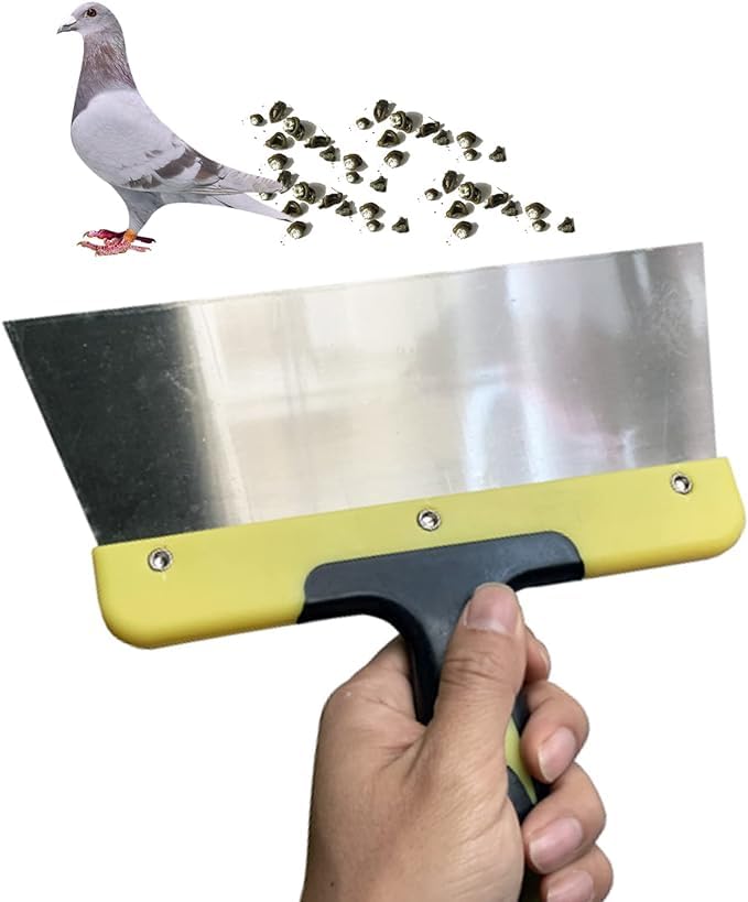 G P S™ Pigeon Loft Cleaning Scraper - Pigeon loft Tool and Home nest ...