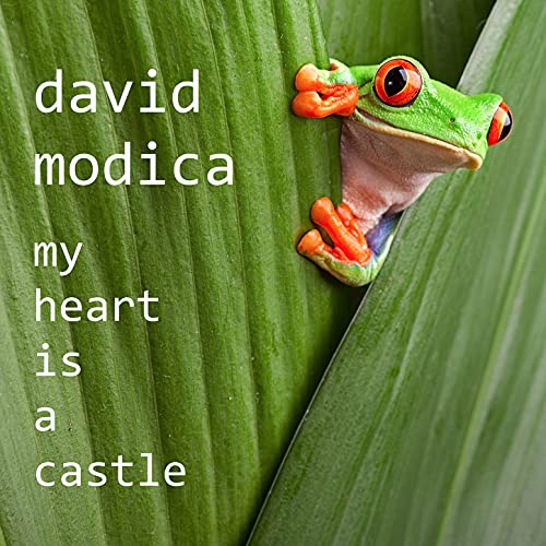 Play My Heart is a Castle by David Modica on Amazon Music