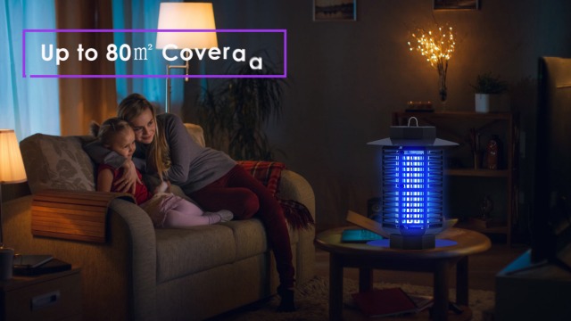 Watch Bug Zapper for Outdoor and Indoor on Amazon Live