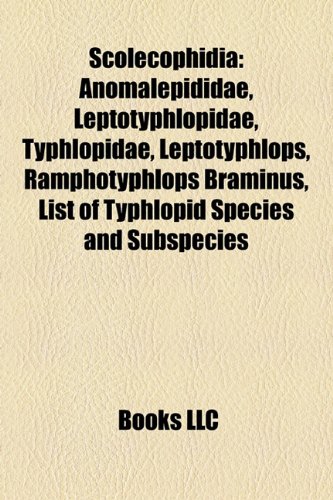 Scolecophidia: Anomalepididae, Leptotyphlopidae, Scolecophidia Stubs ...