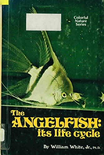 The Angelfish: Its Life Cycle: White, William: 9780806934822: Books ...