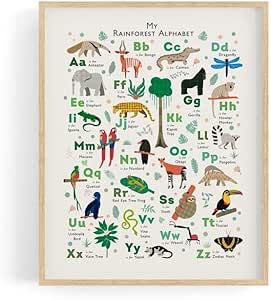 Amazon.com: Rainforest Alphabet Poster, Tropical Jungle Animal Nursery ...