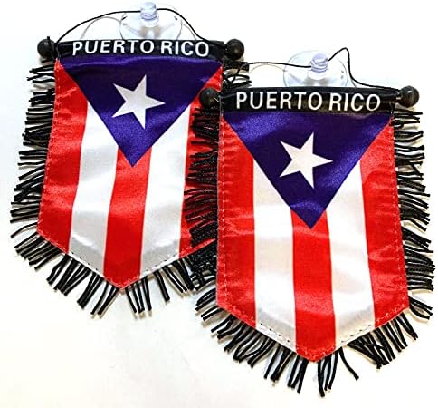 Amazon.com: Puerto Rico flag for car Puerto Rican accessories mini ...