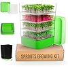 Amazon.com : Sprouts Growing Kit, 4-Tier Stackable Seed Sprouter Trays ...