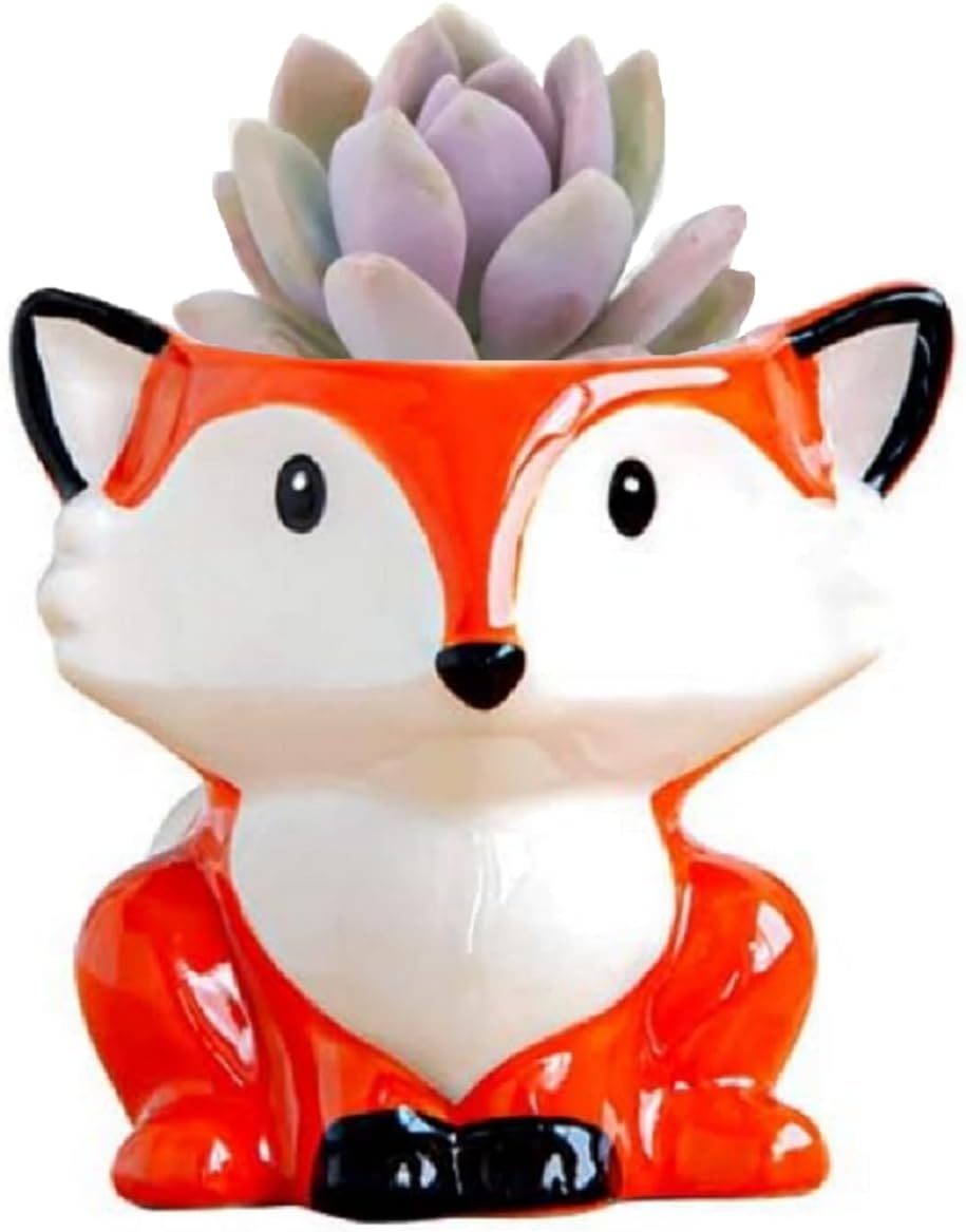 Amazon.com : Meltset Face Planters Pots Head Unique Face Flower Pot ...