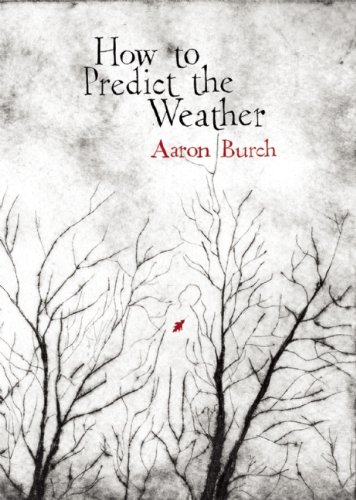 How to Predict the Weather: Amazon.co.uk: Burch, Aaron: 9780982151266 ...