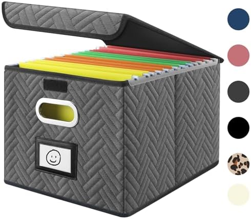 Amazon.com: Storage File Boxes - File Box Organizer with Lid and ...