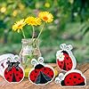 Amazon.com: WATINC 4PCS Ladybug Tiered Tray Decor, Spring Summer Wooden ...