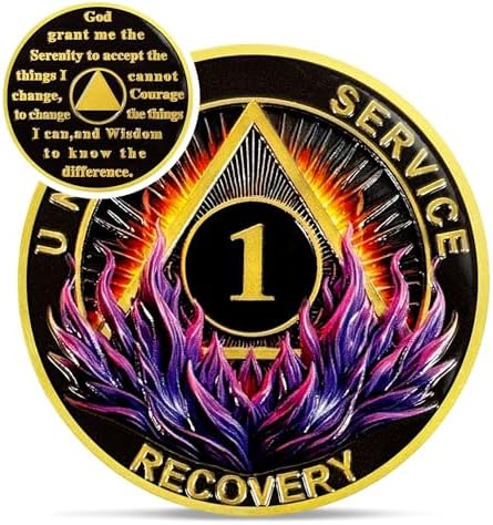 Amazon.com: Delicate Triangle 1 Year Sobriety Coin - Purple Reborn from ...