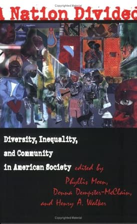 A Nation Divided: Diversity, Inequality, and Community in American ...
