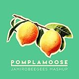 【発売日：2018年05月25日】・製造元:Pomplamoose