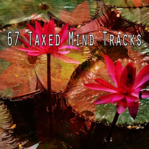 Play 67 Taxed Mind Tracks by Lullabies for Deep Meditation on Amazon Music