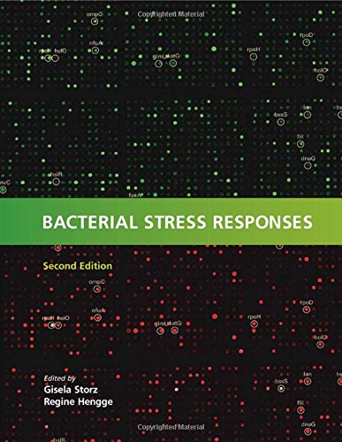 Bacterial Stress Responses: 9781555816216: Medicine & Health Science ...