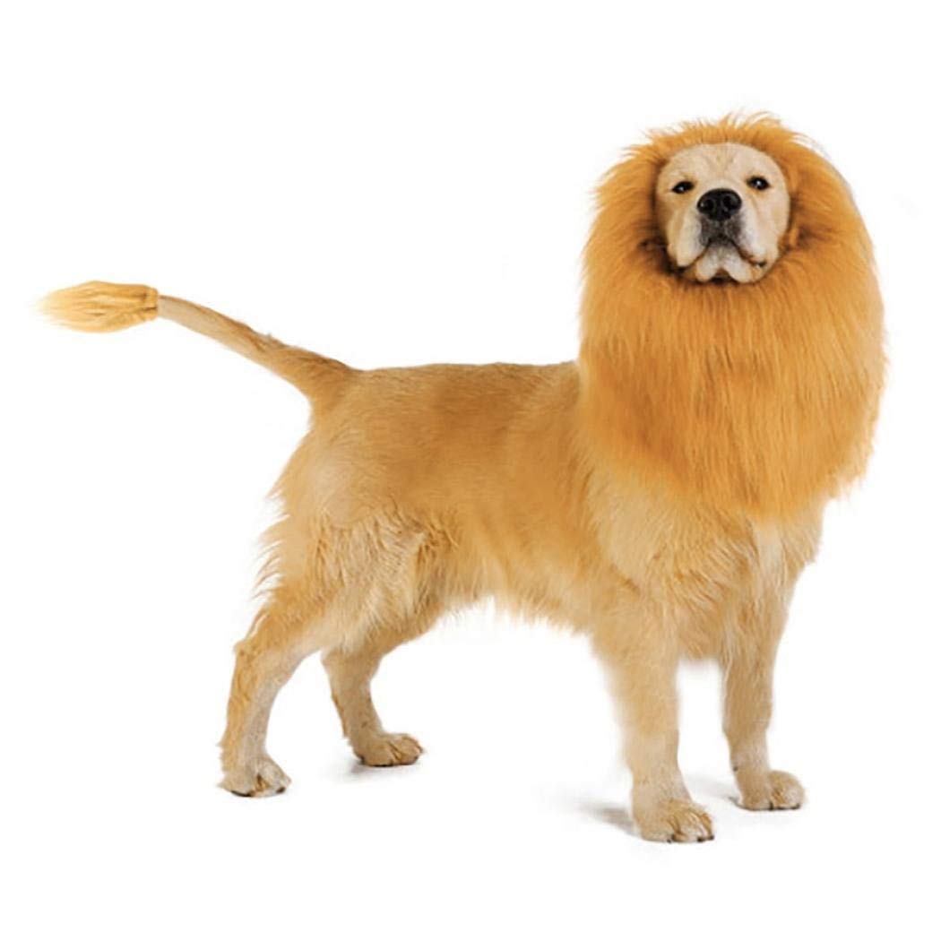 Lion Makeup