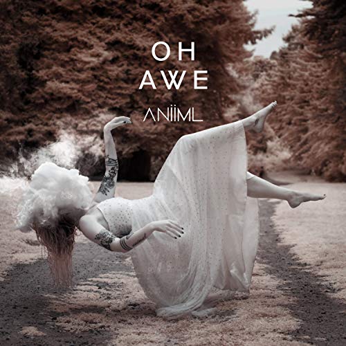 Amazon.com: OH AWE [Explicit] : ANIIML and Lila Rose: Digital Music