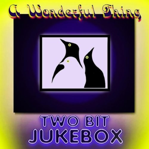 Amazon.com: A Wonderful Thing : Two Bit Jukebox: Digital Music