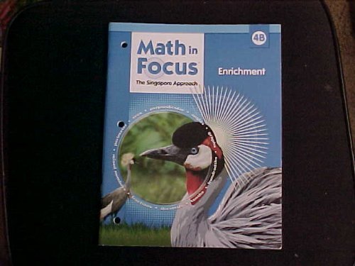 Math in Focus: Singapore Math Enrichment, Book B Grade 4 : Great Source ...