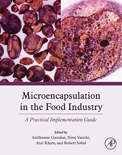 Microencapsulation in the Food Industry: A Practical Implementation ...