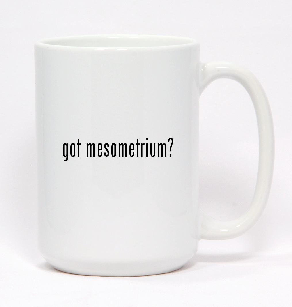 Mesometrium