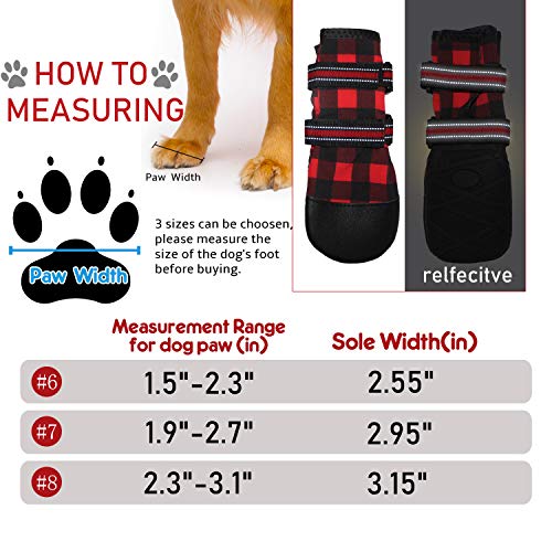 How Do You Measure A Dogs Shoe Size