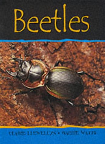 Beetles (Minibeasts): 9780749636890: Amazon.com: Books