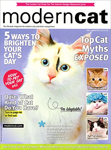 Modern Cat - Magazine Subscription from MagazineLine (Save 50% ...