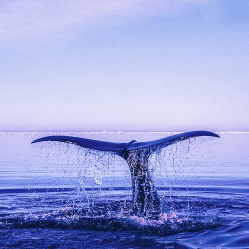 Reproducir 0 Hour Zen: Ethereal Soundscapes de Ocean Sounds, Ocean ...