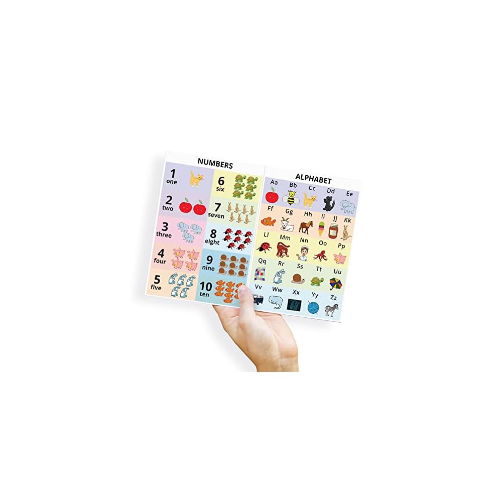 Alphabet Numbers Colors 2D 3D Shapes Table Chart Nepal | Ubuy