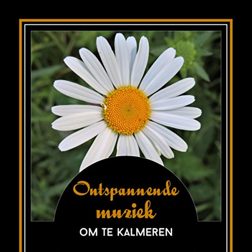 Play Ontspannende muziek om te kalmeren - Instrumentale en natuurlijke ...