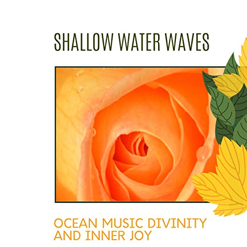 Amazon Music - VARIOUS ARTISTSのShallow Water Waves - Ocean Music ...