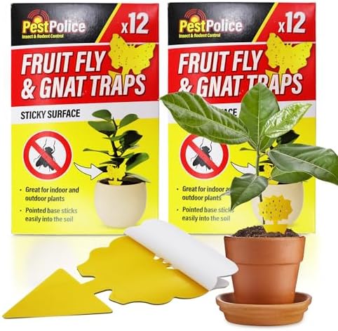SOL 24pk Fruit Fly & Gnat Traps, Yellow Sticky Fungus Killer for Indoor ...