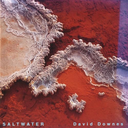 Amazon.com: Saltwater : David Downes: Digital Music