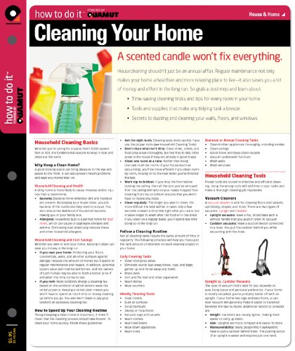 Cleaning Your Home (Quamut): Quamut: 9781411497368: Amazon.com: Books