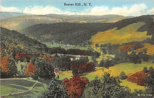 Beaver Kill Beaverkill, New York, Postcard at Amazon's Entertainment ...