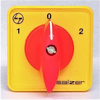 Salzer(L&T) 61028 6A 4Pole 2Way S6 6A Cam Operated Rotary Switch ...