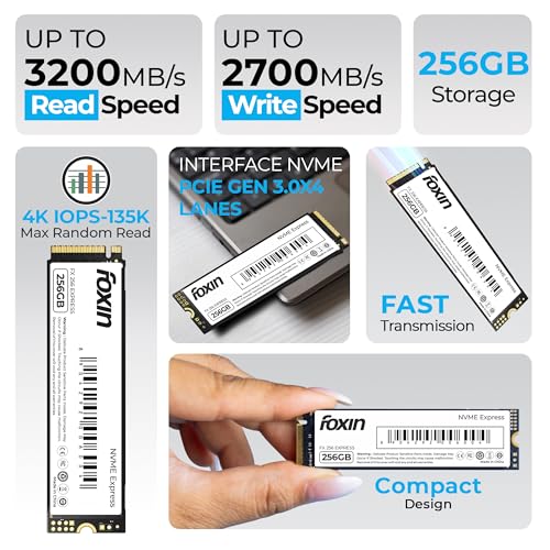 Foxin SSD 256 GB NVME | Internal Solid State Drive with Micron Chipset ...