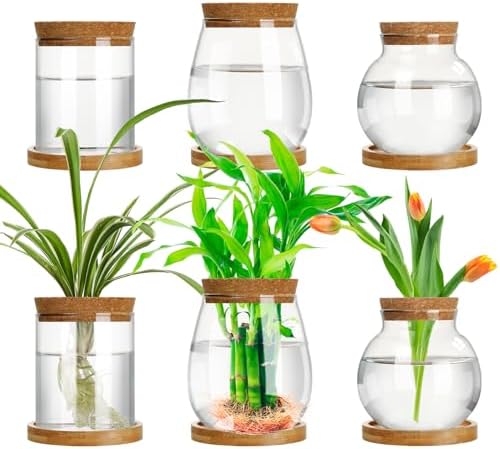 Amazon.com : 5-7 Inch Small Medium Large Plants Propagation Station ...