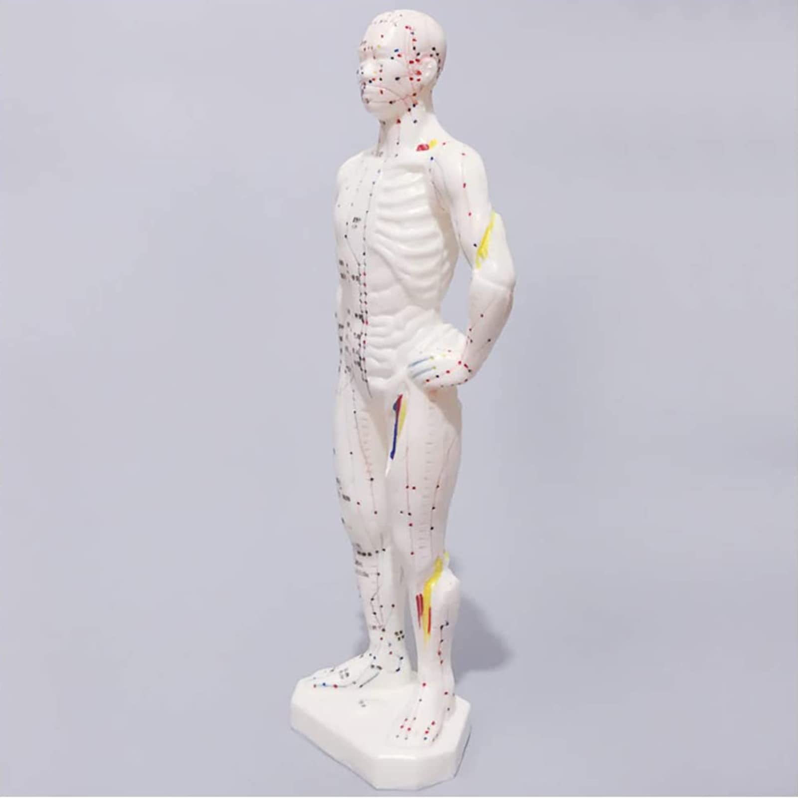 Buy 26Cm/10.23inch Mini Acupuncture Model, Human Acupuncture Model ...