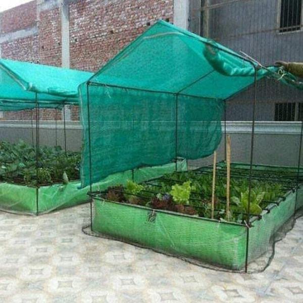 Maruti Trading Company Sun Protected Green House Netting |Multipurpose ...