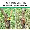 Amazon.com: Zriechs Tree Wound Pruning Sealer, Tree Wound Dressing with ...