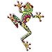 Amazon.com - Tree Frog Sticker Colorful Decal by Megan J Designs ...